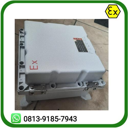 Jual Panel Box/ Junction Box Explosion proof WEIFENG BJX 300x300x185mm ...