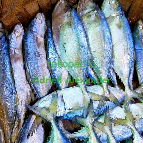 Jual Ikan Kembung Rebus Khas Medan 500gr - Jakarta Pusat - Adriell ...