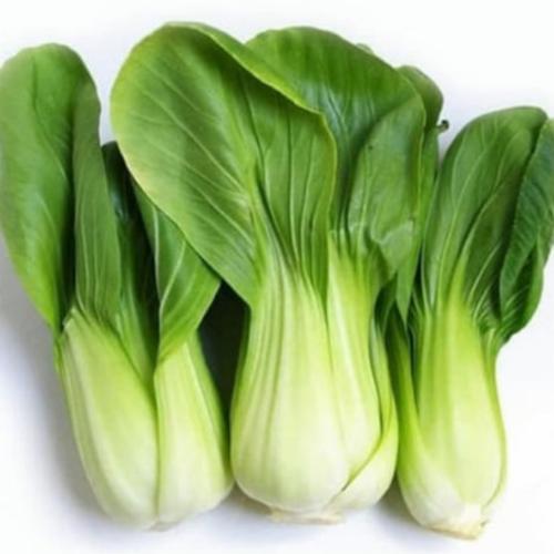 Jual baby pakcoy, pakcoy sayur pakcoy, pak choy - Kota Bandung - Fabyan ...