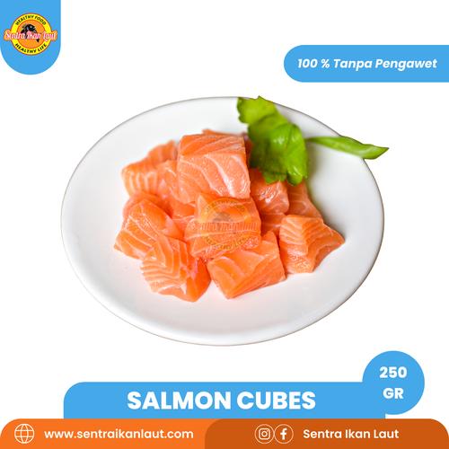 Jual Ikan Salmon Cube Fish Cut Premium Saikoro Frozen 250 Gram ...