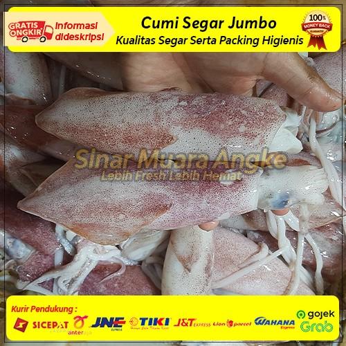 Jual Cumi Segar Fresh - Cumi Bangka Segar Fresh Ukuran Besar 1 kg ...
