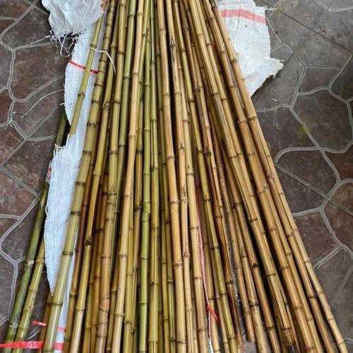 Jual batang bambu cendani warna kuning artificial bamboo stick 100 cm ...