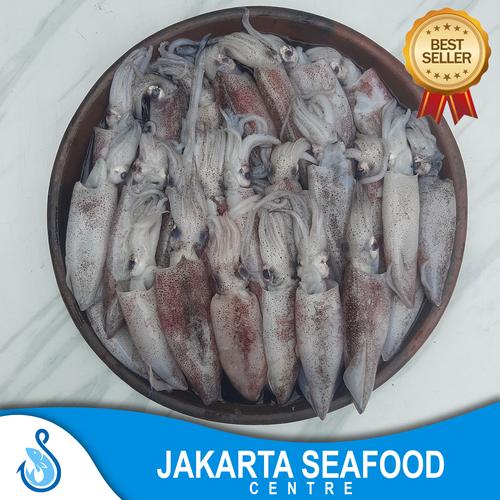 Jual Cumi Sero SEGAR 1kg - Cumi Laut Kecil FRESH - Cumi Segar Grade A ...