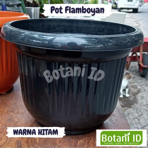 Jual Pot Flamboyan Tanaman Hias Pot Besar Plastik Bunga Tanaman Hias ...