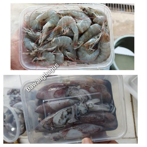 Jual Cumi Segar Udang Segar Fresh 500Gram Free Box - Bawangbagus - Kota ...