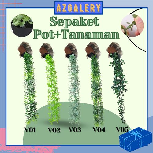 Jual Az Daun Rambat Plastik Tanaman Hias Artificial Dekorasi Pot Hoya ...
