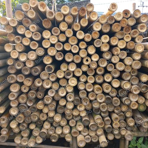 Jual Bambu Steger Jakarta - Jakarta Selatan - Matrial Bambu | Tokopedia