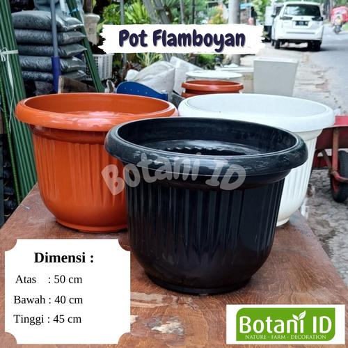 Jual Pot Flamboyan Tanaman Hias Pot Besar Plastik Bunga Tanaman Hias ...