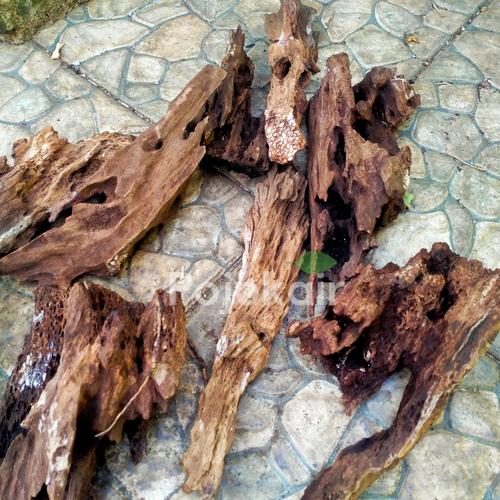 Jual Kayu Rentek Hiasan Aquascape Aquarium - Kota Bogor - PojokAir ...