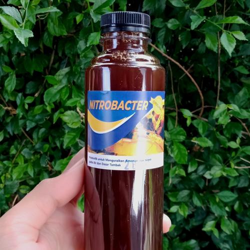 Jual Nitrobacter ORIGINAL Probiotik Kolam KOI 250 ml - 250 ml - Kota ...