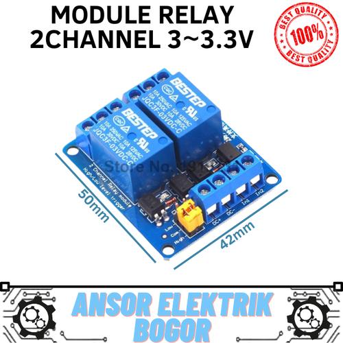 Jual MODULE RELAY 2 CHANNEL 3V 2 CHANNEL LOW TRIGGER 3~3.3V - Kab ...