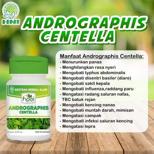 Jual ANDROGRAPHIS CENTELLA HNI HPAI || Mengobati Penyakit Liver - Kota ...