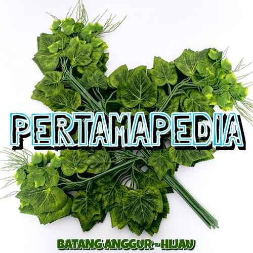 Jual Daun Plastik/Bunga Plastik/Rumput Plastik/Anggur Batang Putih ...