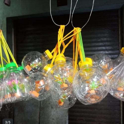 Jual botol hias ikan cupang anak murah - Kota Bandung - Bettami ...