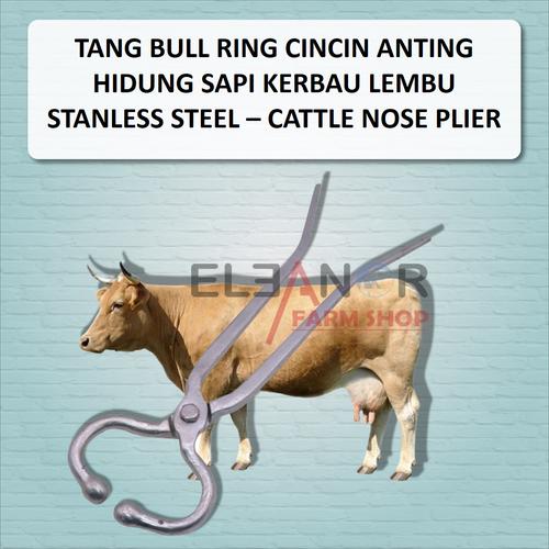 Promo Tang Penjepit Hidung Sapi Bull Ring Cincin Anting Hidung Sapi ...
