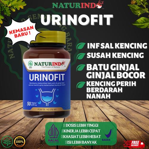Jual Obat Ginjal Bocor Sakit Batu Gagal Ginjal URINOFIT SEMARANG ...