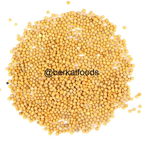 Jual Yellow Mustard Seed / Biji Sawi Kuning Import / Rai Seeds - 100 ...