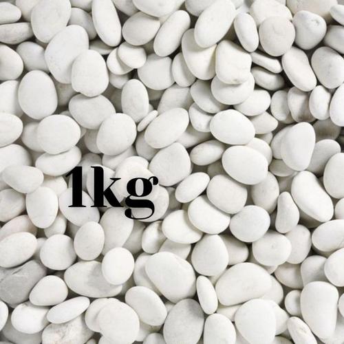 Jual Batu Taman Koral Putih 1 kg - Kota Bekasi - ORIGINAL FLORA | Tokopedia