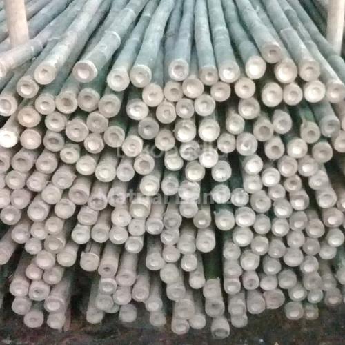 Jual Bambu Steger - Jakarta Selatan - Matrial Bambu | Tokopedia