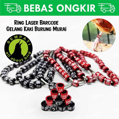 Jual Ring laser gelang stainless barcode cincin penanda kaki burung ...
