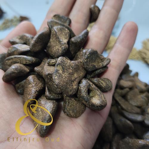 Jual KAYU GAHARU MINI DOUBLE MAROKI MOHASAN OUD AGARWOOD ORIGINAL ...