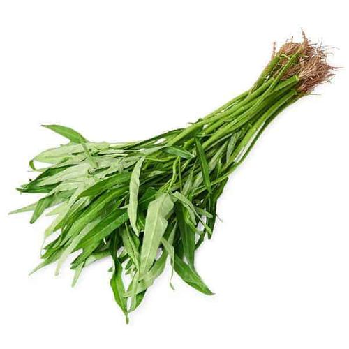 Jual Sayur Kangkung Per Ikat - Original - Jakarta Utara - Dunia Sayur ...