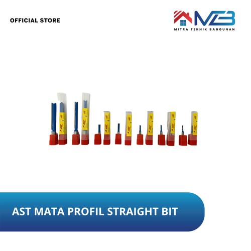 Jual AST Mata Profil Straight Bit - 3mm - Kota Surabaya - Mitra Teknik ...
