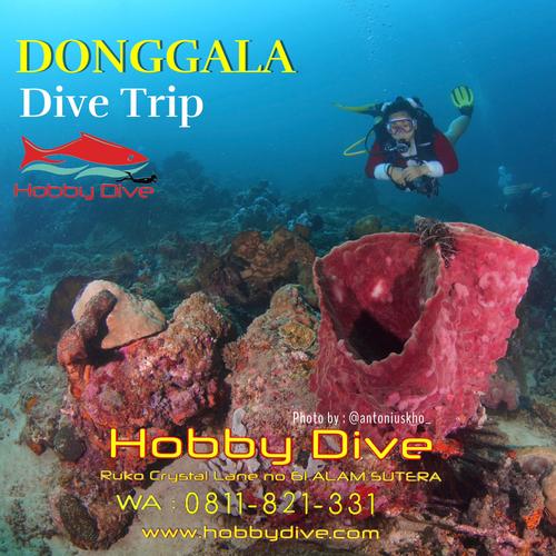 Jual HOBBY DIVE Diving Trip - Donggala - Palu Sulawesi Tengah - Room ...