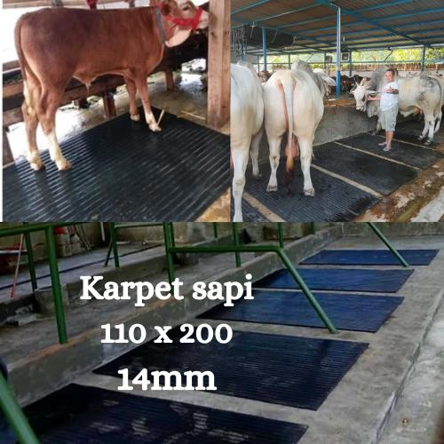 Jual KARPET KARET ALAS KANDANG SAPI / KUDA / KERBAU - KARET PREMIUM ...