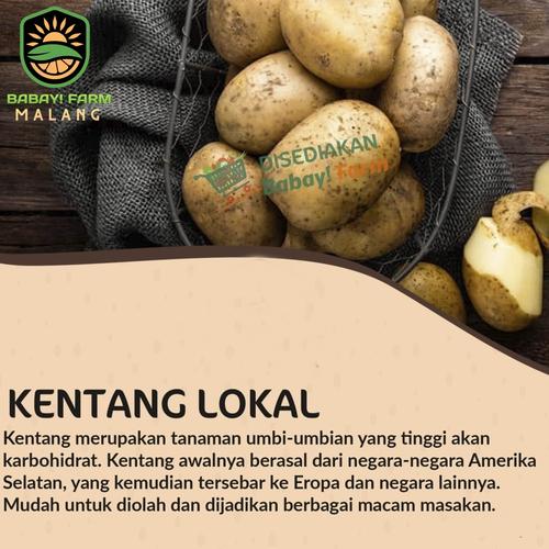 Jual Kentang Lokal Segar 500 gr / 1 kg - 500 gram - Kab. Malang - Babay ...