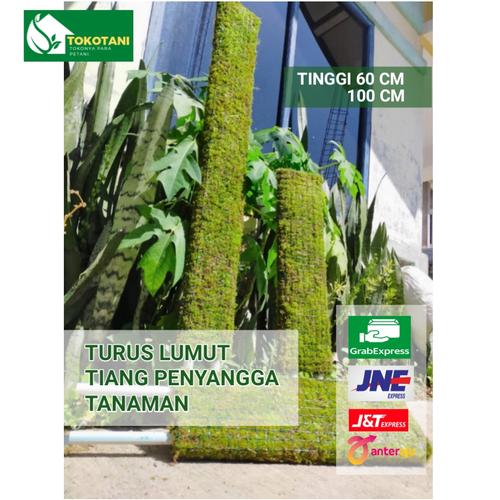 Jual turus lumut tiang penyangga tanaman bentuk papan tinggi 60cm - 2 ...