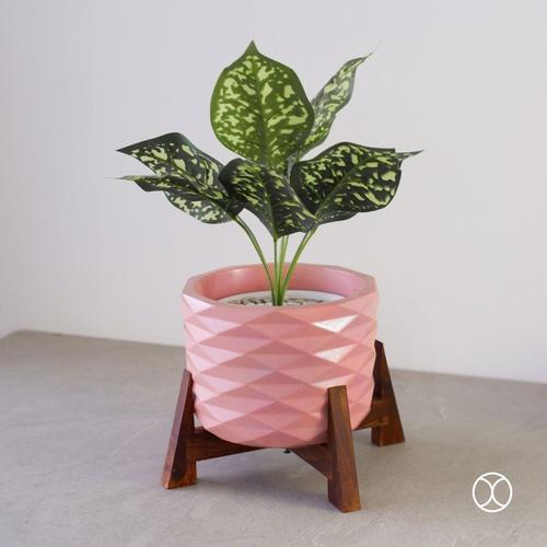Jual CONCREATE Pot Tanaman Acadia 17 cm / Pot Aesthetic / Dekorasi Meja ...
