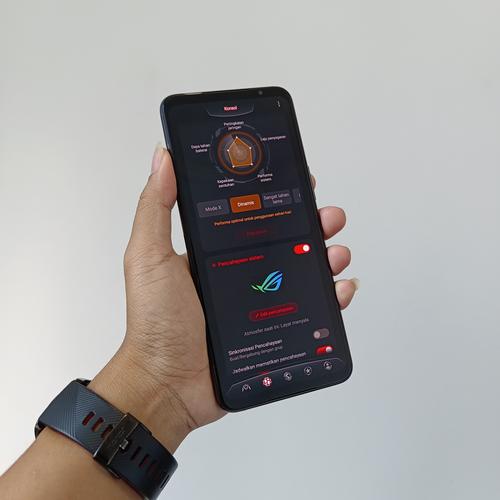 Jual asus rog phone 5 8/128gb second - Kota Surakarta - infinity phone ...