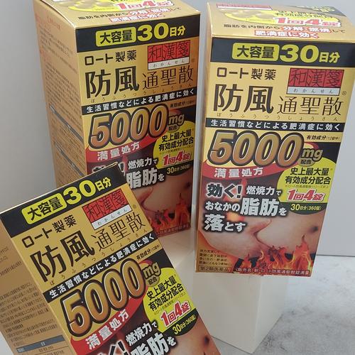 Jual Supplement Diet ROHTO Wakansen Boufu Bofutsushosan 5000 mg 360 ...