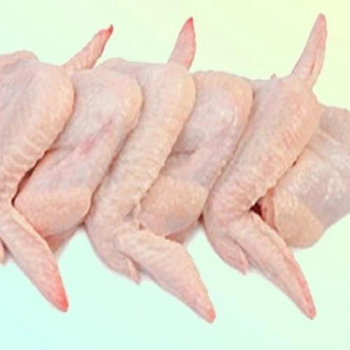 Jual Chicken Wing Sayap Ayam - 1 kg - Kota Medan - Sultan Meat Shop ...