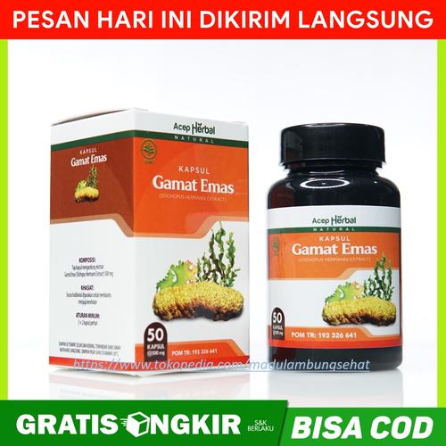 Jual Obat Kanker Paru Paru - Infeksi Paru Paru - Tuberkulosis - Edema ...
