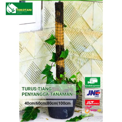 Jual turus tiang penyangga tanaman 100 cm - ajir tanaman rambat - 40cm ...