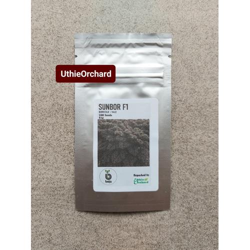 Jual Benih Bejo Seed - Red Kale Curly Sunbor Kemasan 100 Seeds - Kota Tangerang - UthieOrchard ...