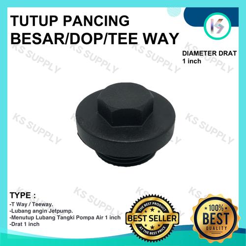 Jual Tutup Pancing Plug Drat Luar 1 inch T Tee Way Dop Jetpump Pompa ...