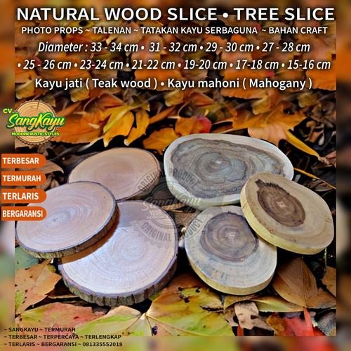 Jual Wood slice chips 20-22 cm kayu log hiasan dinding dekorasi craft ...