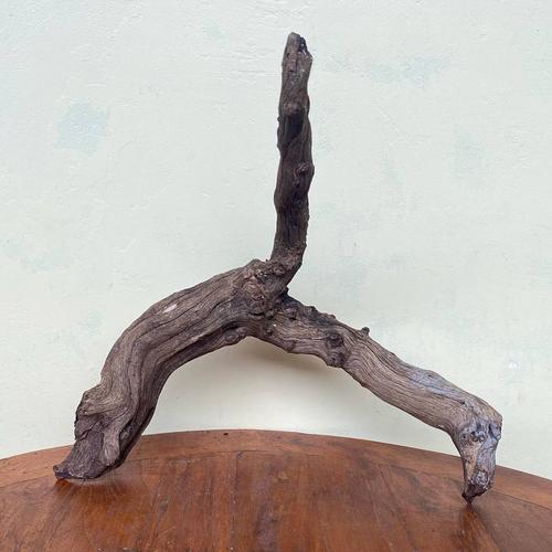 Jual kayu santigi akar santigi sentigi hardscape aquascape chana ...