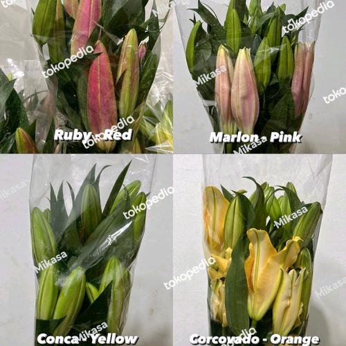 Jual bunga Lily import isi 5 tangkai 1 tangkai bunga banyak dan besar ...