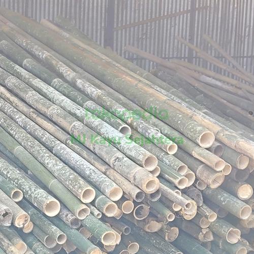 Jual KAYU BAMBU TIANG COR BEKISTING DIAMETER 5 - 7 cm Pjg 4 M - Kota ...