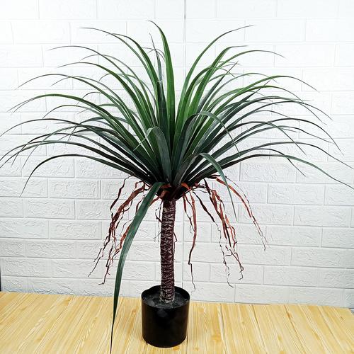 Jual Pohon Besar Dragon Tree Plastik Ornamen Artificial Dekorasi Rumah ...