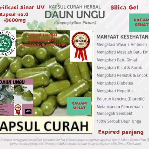 Jual KAPSUL BUBUK DAUN UNGU WUNGU HERBAL JAMU OBAT CURAH 100 BUTIR - KLIP OBAT - Jakarta Pusat ...