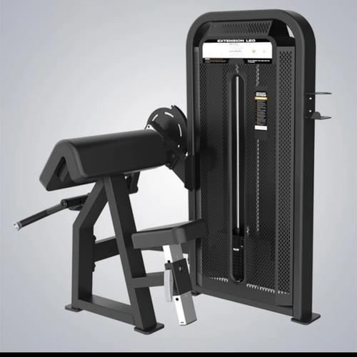 Jual DHZ Bicep Curl / Camber /Chamber Curl Machine E5030 Commercial Use ...