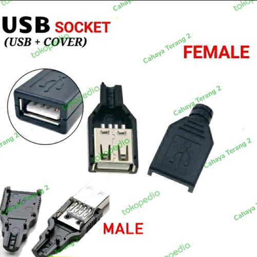 Jual Cover USB Socket USB 4 Pin Socket Connector Kosong USB Male Female ...
