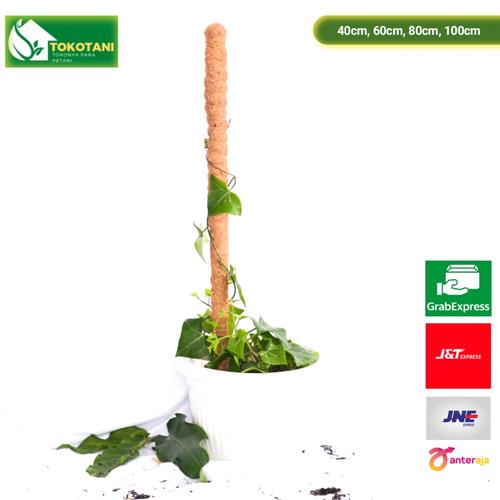 Jual turus tiang penyangga media tanaman rambat - 100cm - Kab. Cianjur ...
