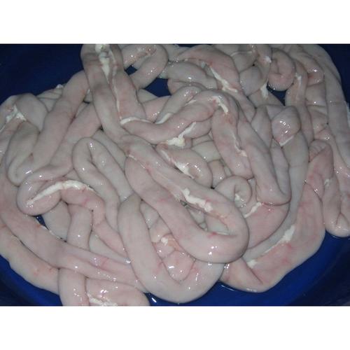 Jual Usus Besar Usus Sapi Segar (Fresh Beef Intestine) - Jakarta Barat ...