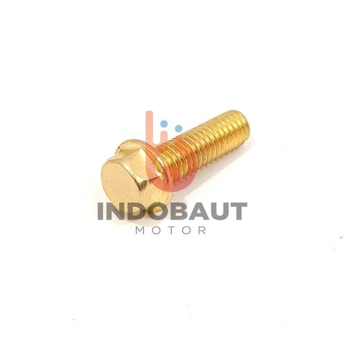 Jual Baut Blok Mesin Flange Bolt 6x15 Kunci 8 GOLD - Jakarta Utara - IndoBaut Motor | Tokopedia